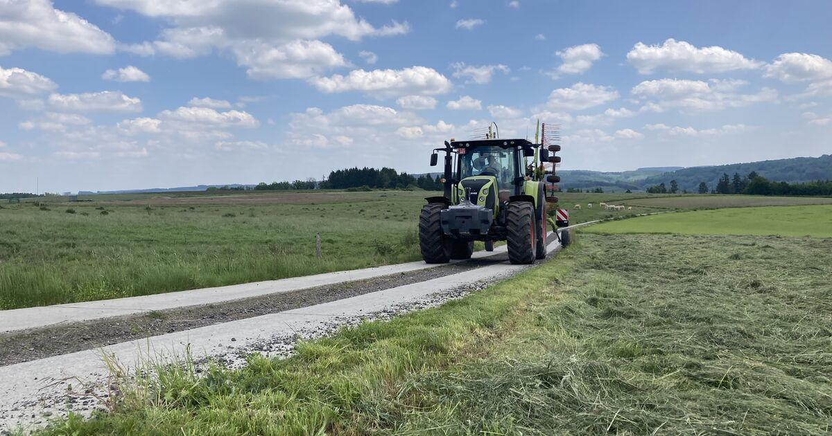 Chemin rural bi-bande entre Warempage et Herlinval